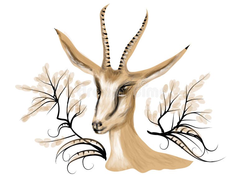 Springbok Stock Illustrations – 642 Springbok Stock Illustrations ...