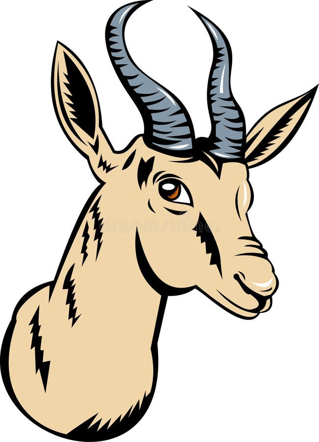 Springbok Stock Illustrations – 711 Springbok Stock Illustrations ...