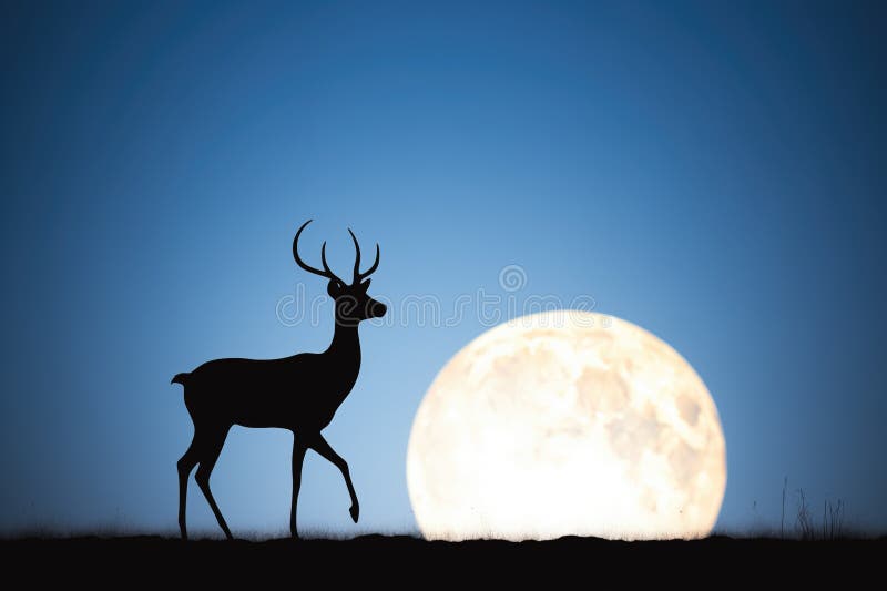 Springbok Silhouette Against Full Moon Stock Illustration ...