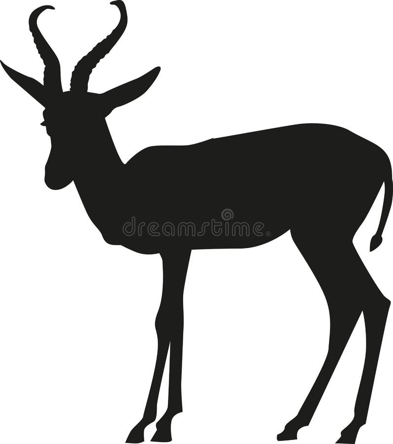 Springbok silhouette stock vector. Illustration of graphic - 73517437