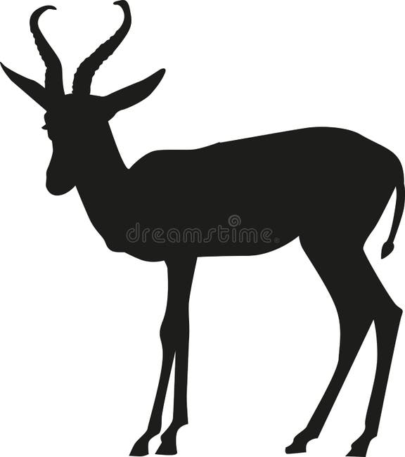 Springbok silhouette stock vector. Illustration of graphic - 73517437