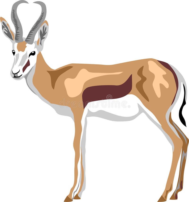 Springbok Stock Illustrations – 711 Springbok Stock Illustrations ...