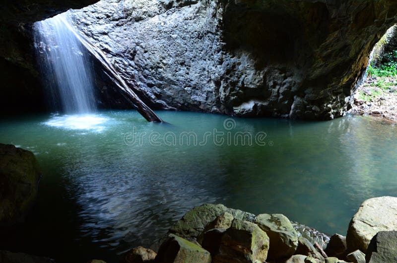 Springbrook National Park - Queensland Australia Stock Image - Image of ...