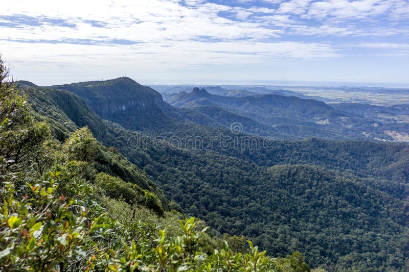 Springbrook National Park - Queensland Australia Editorial Photo ...