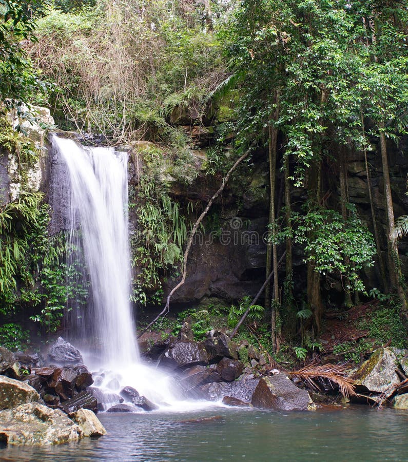 Springbrook waterfall stock image. Image of tourism, destinations ...