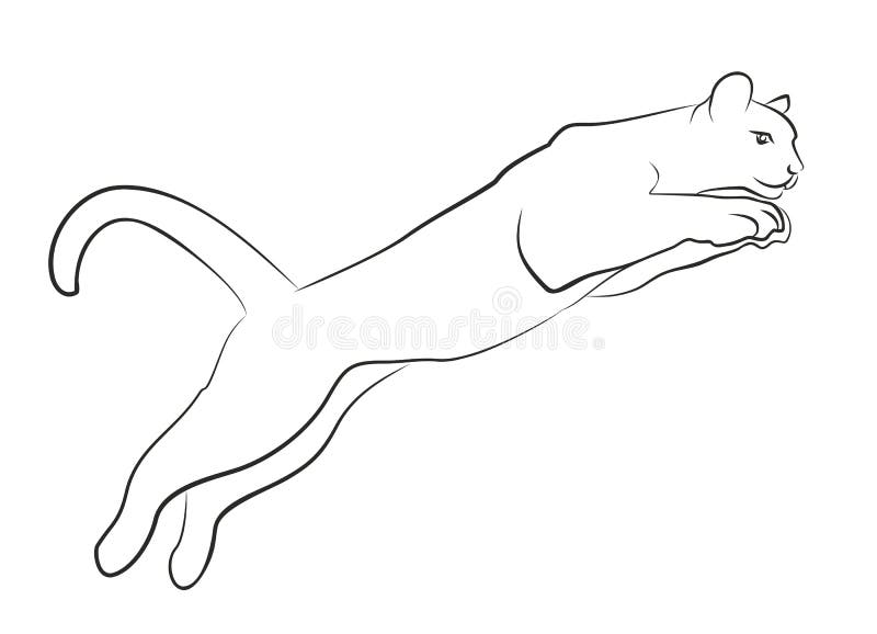 Springen Sie Katze vektor abbildung. Illustration von sprung - 50560711