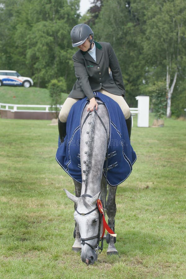 Springende De Wedstrijdwinnaar Van Het Paard Redactionele Fotografie ...