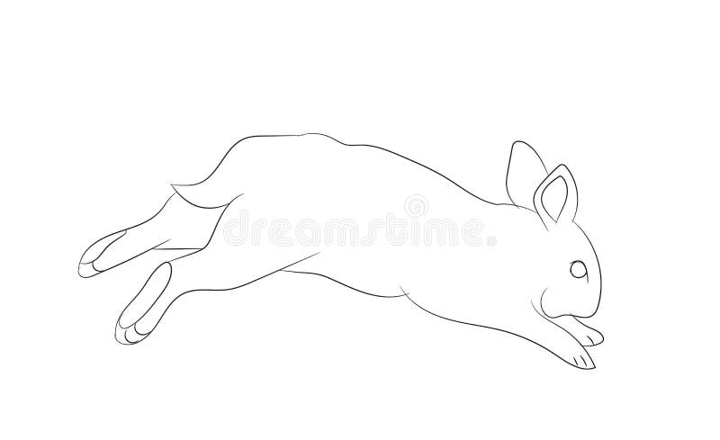 Springender Hase-Vektor vektor abbildung. Illustration von springender ...