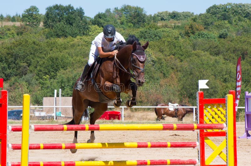 Springende Nähere Bestimmung Pferd Racing Redaktionelles Foto - Bild ...