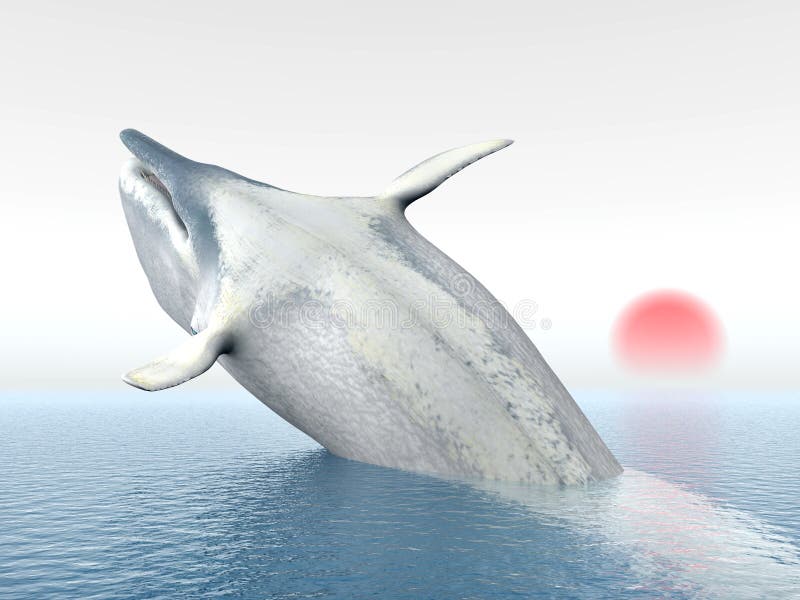 Springender Wal stock abbildung. Illustration von flosse - 25205698