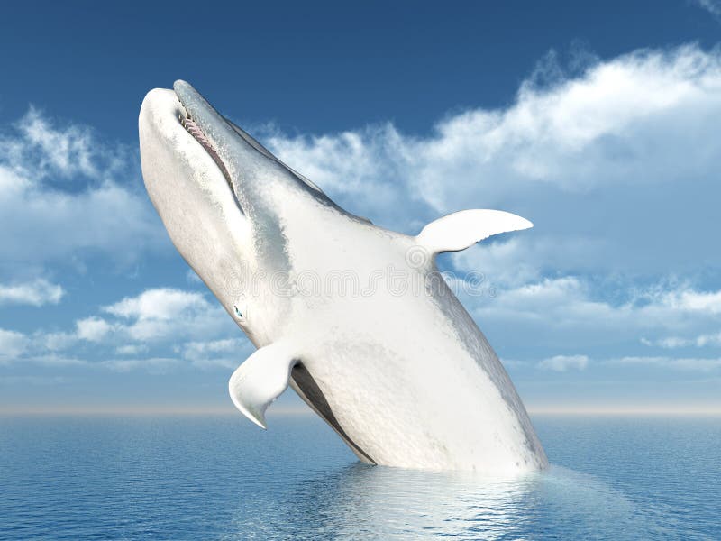 Springender Wal stock abbildung. Illustration von blau - 31821115