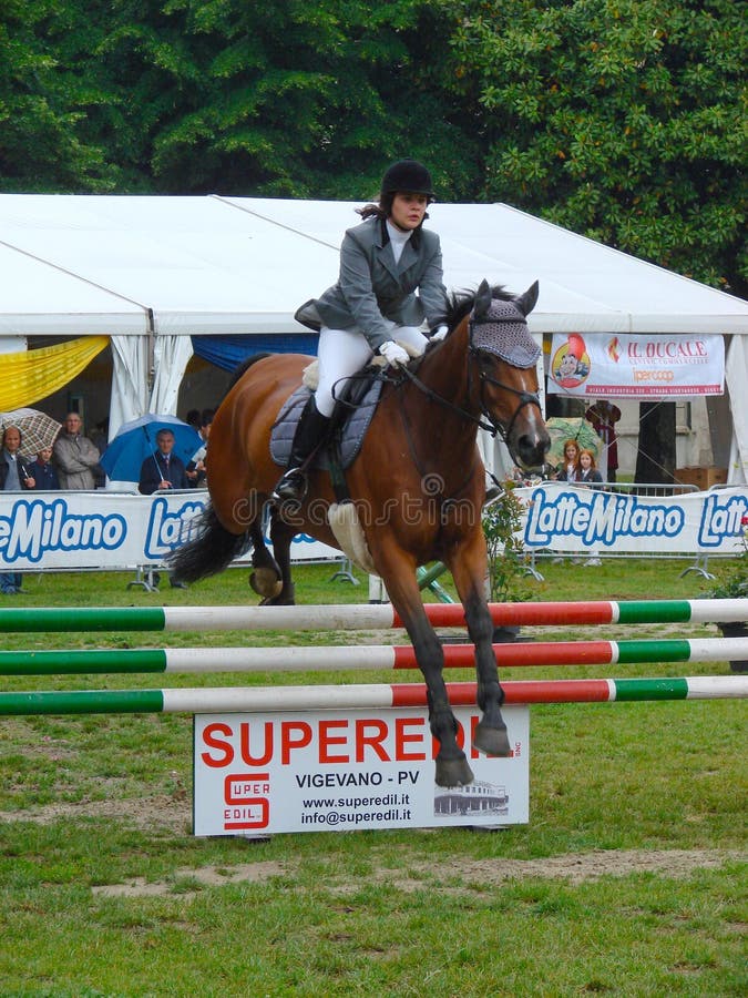 Springreitturnier redaktionelles stockbild. Bild von zäune - 5225284