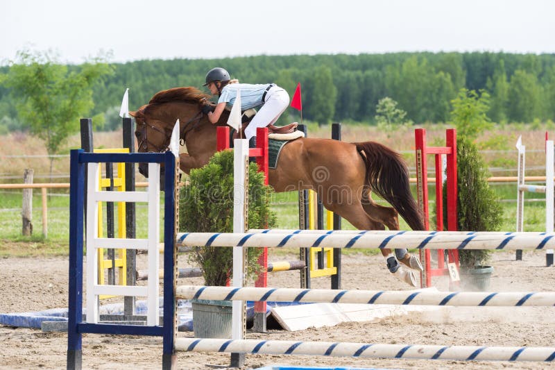Reitersporte, Springendes Pferd, Show-Springen Stockfoto - Bild von ...