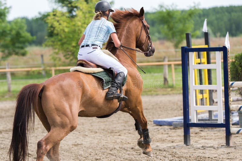 Springendes Erscheinen Des Pferds Stockfoto - Bild von jockey, braun ...