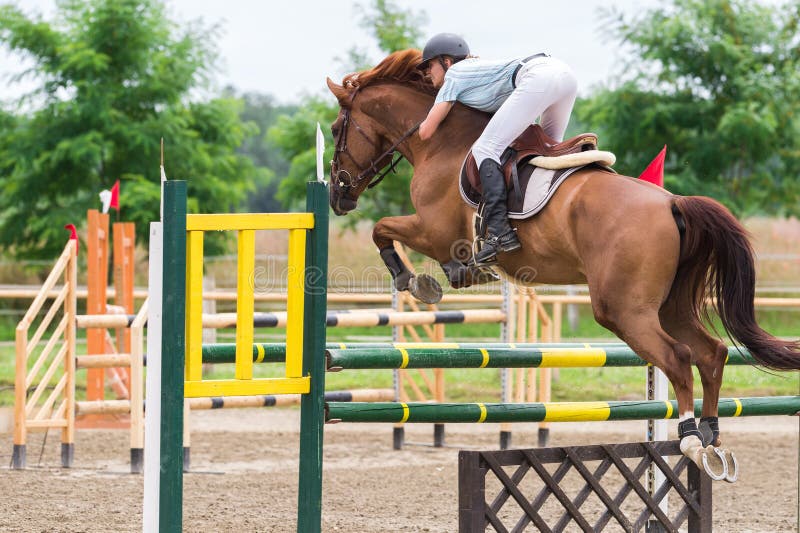 Reitersporte, Springendes Pferd, Show-Springen Stockfoto - Bild von ...