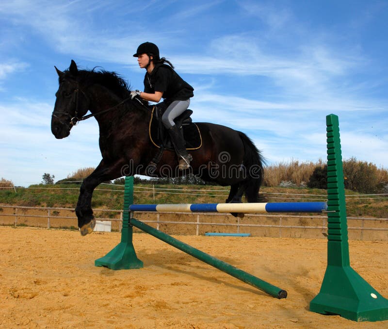 Springendes Pferd stockbild. Bild von fall, mähne, tiere - 2032161