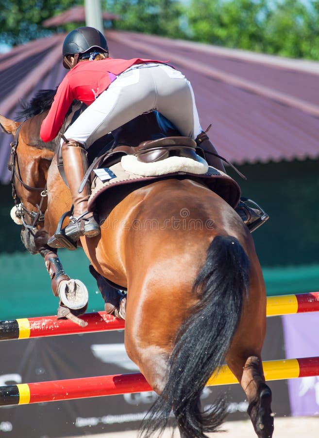 Springendes rotes Pferd stockfoto. Bild von bewegung - 42778260