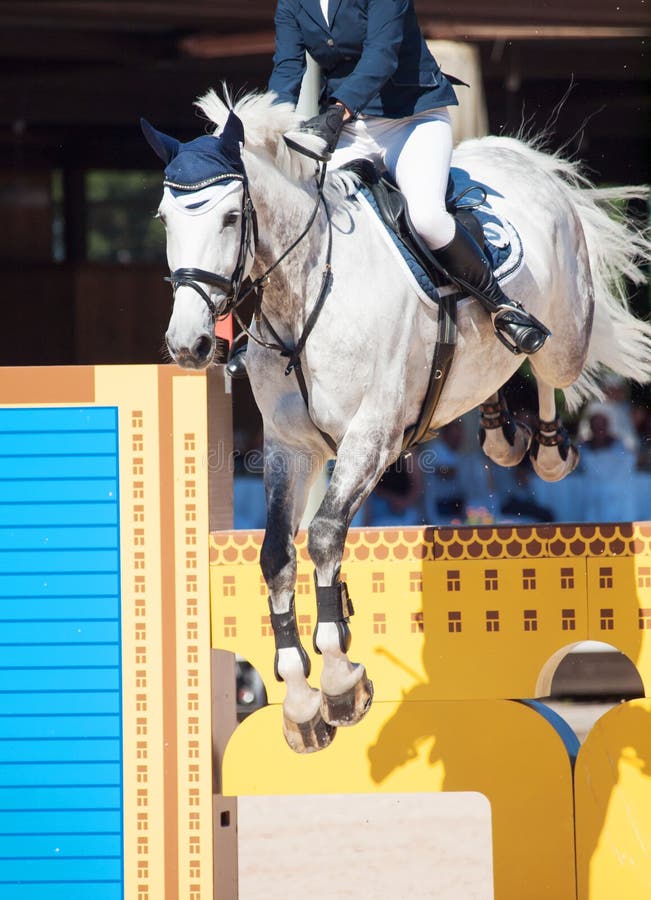 Springendes Pferd Mit Reiter Stockfoto - Bild von gelding, sportive ...