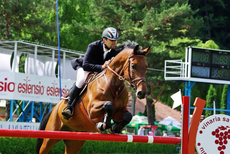 Zeigen Sie Springendes Pferd Redaktionelles Bild - Bild von braun ...