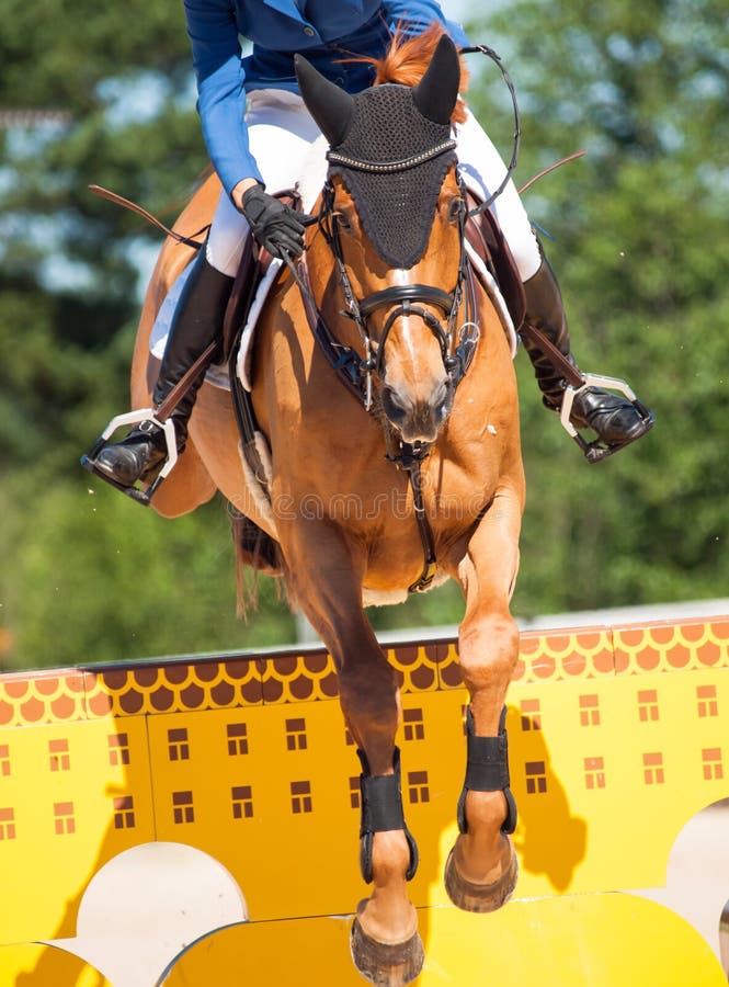 Springendes rotes Pferd stockfoto. Bild von bewegung - 42778214