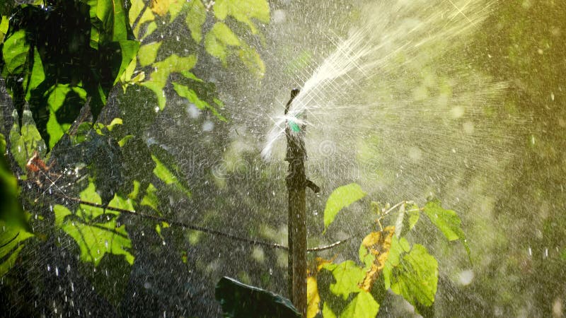Water sprinkler stock image. Image of face, fence, fireworks - 140900773