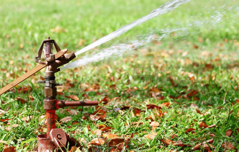 Springer Water System Working in Hydroponic Vegetable Farm. Stock Photo ...