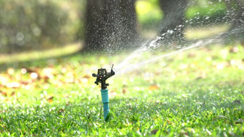 Springer Watered the Trees in a Park Stock Video - Video of gardening ...