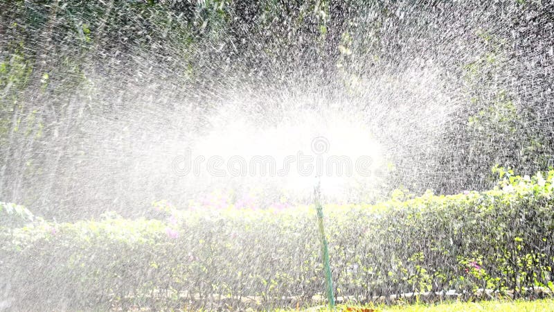 Springer Watered the Trees in a Park Stock Video - Video of irrigation ...