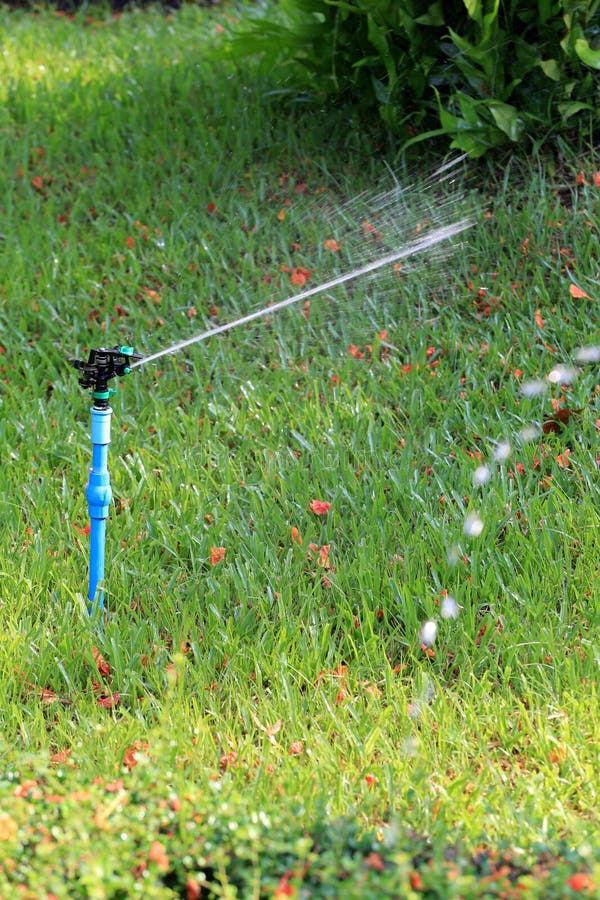 Springer is Working and Have Water Spread for Green Lawn. Stock Photo ...