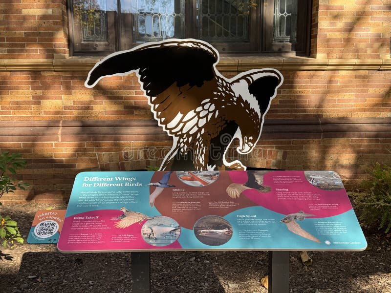 Springfield Museums in Springfield, Massachusetts Editorial Stock Photo ...