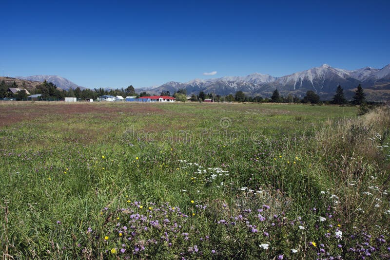 Springfield and the Southern Alps Stock Photo - Image of southern ...