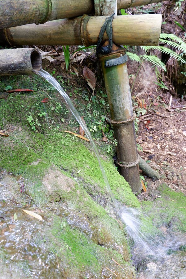 Springs that are Flowed with Bamboo Used for Irrigation Stock Photo ...