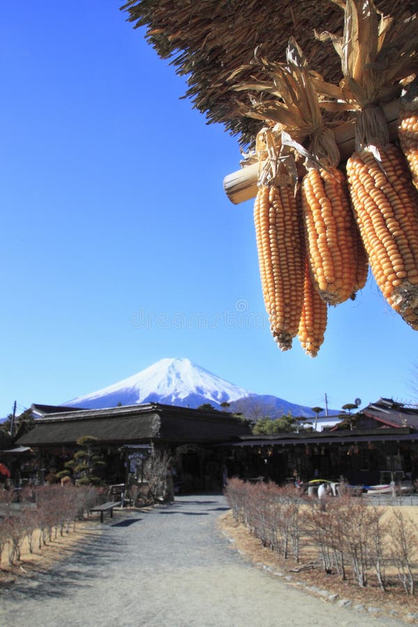 Springs of Mt.Fuji stock image. Image of travel, fuji - 24848043