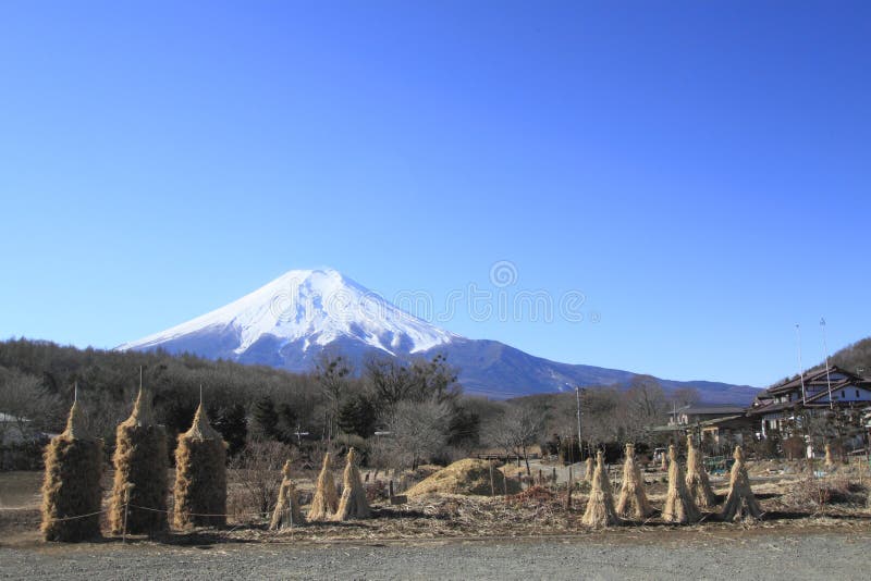Springs of Mt.Fuji stock photo. Image of asia, travel - 24848044