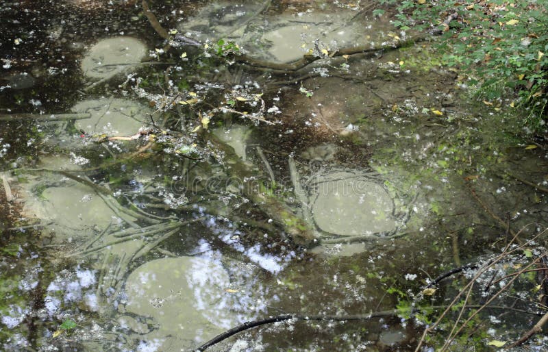 Springs of Spring Water in the Springs that Give Life To the Riv Stock ...