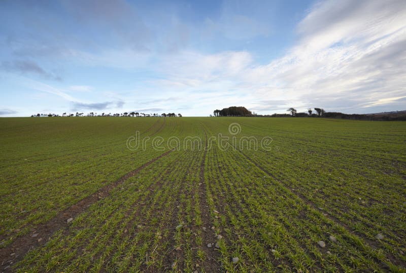 Springtime stock photo. Image of seasonal, rural, cork - 13091566