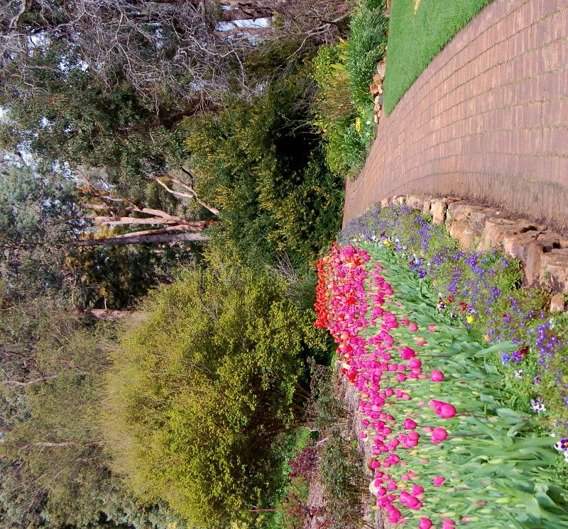 Modern Living Room stock image. Image of couches, contemporary - 1731975