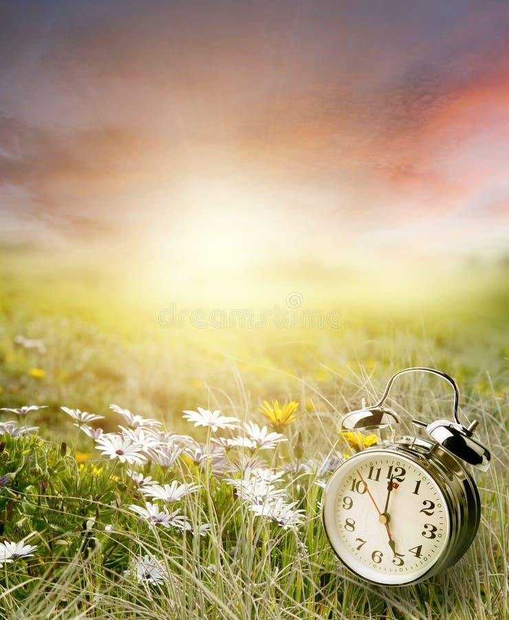 Springtime stock photo. Image of reminder, alarm, meadow - 43656040