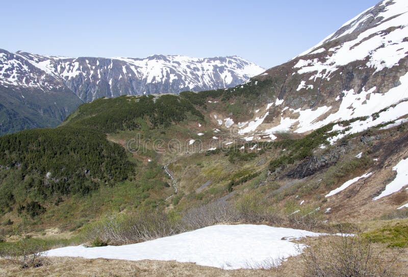 Springtime in Alaska stock image. Image of landscape - 93046199