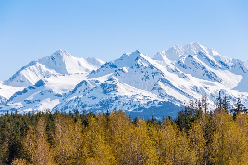 Springtime in Alaska Wilderness Stock Image - Image of america, scenic ...