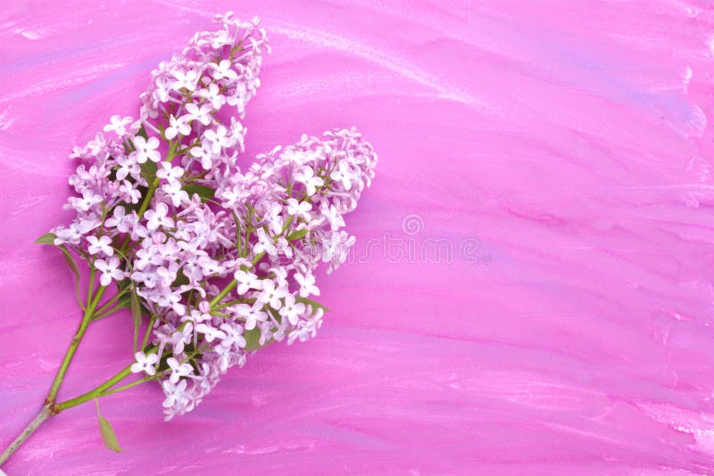 Springtime Background with Lilac Flowers Stock Photo - Image of paper ...