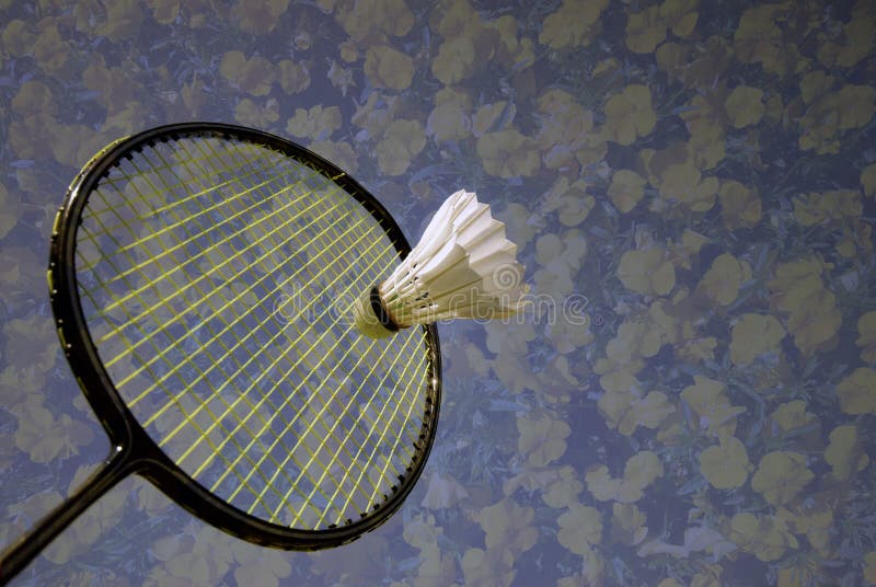 Springtime badminton stock photo. Image of action, spring - 13083342
