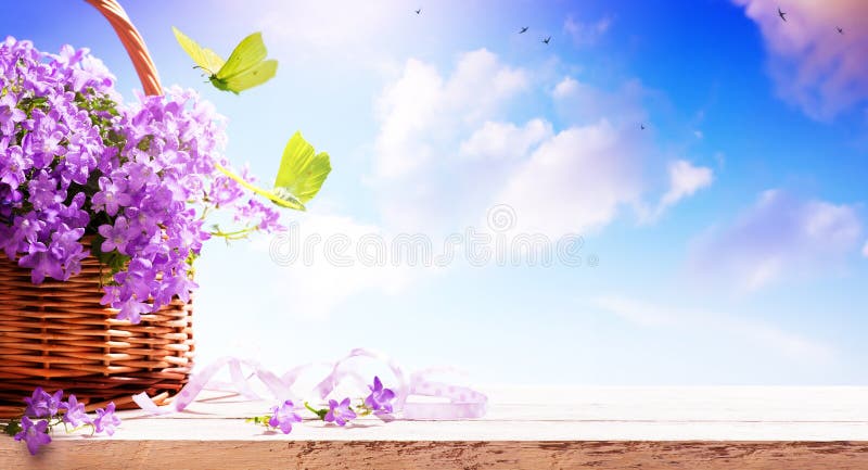 Springtime Banner Background. Bluebells Spring Flowers in a Basket and ...