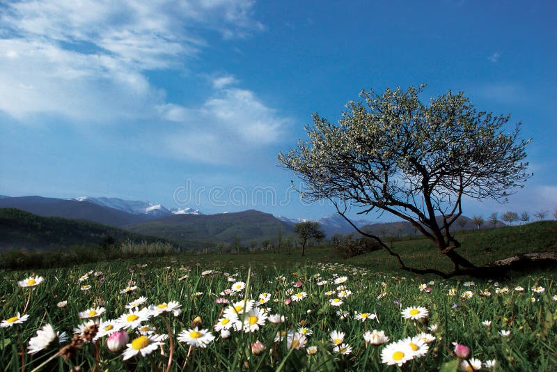 Springtime begin stock image. Image of mountains, clouds - 1057123