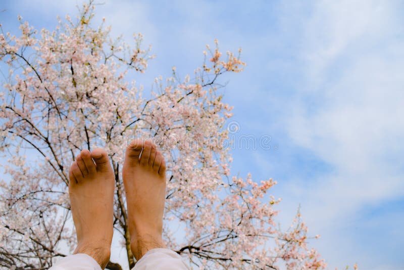 Springtime Bliss: Feet Up in a Field of Blooms Stock Photo - Image of ...