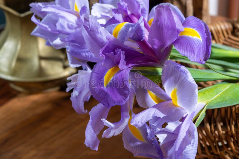 Springtime, Bouquet of Fresh Spring Purlpe Iris Flowers Stock Photo ...