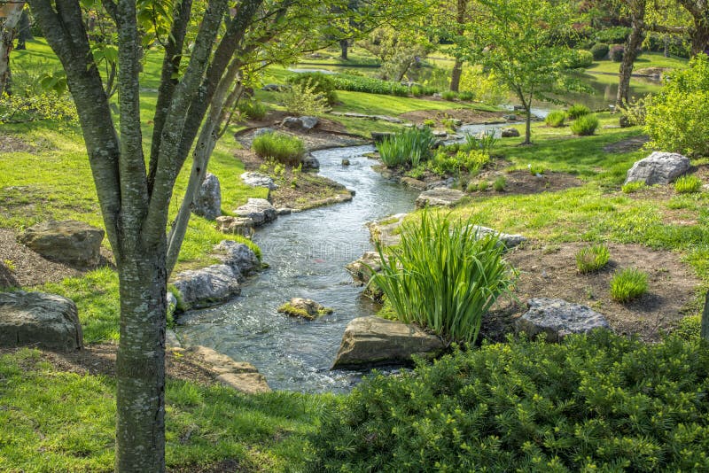 Meandering Brook Flowers Stock Photos - Free & Royalty-Free Stock ...