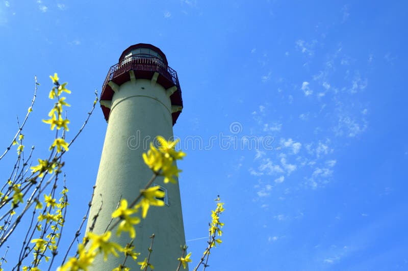 Springtime in Cape May stock image. Image of forsythia - 90008017