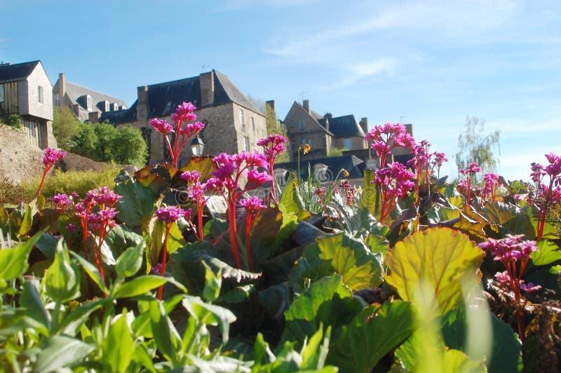 Springtime in city stock image. Image of sarthe, magenta - 19099983