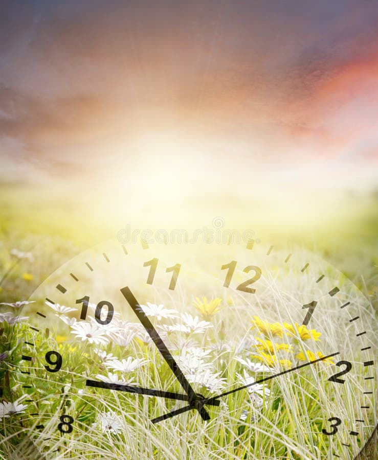 Springtime stock photo. Image of reminder, alarm, meadow - 43656040